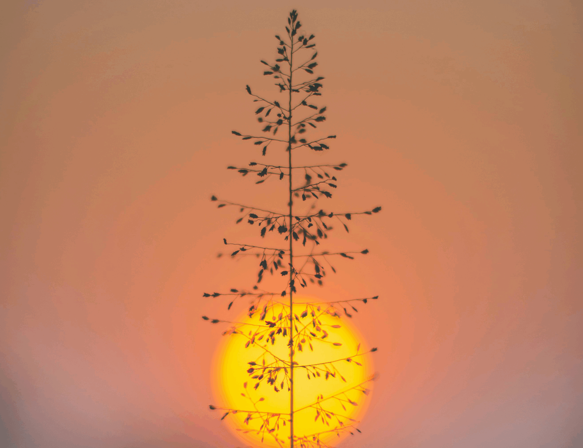 Why “Unity” Is More Contentious Than You Might Think - FrameWorks Institute