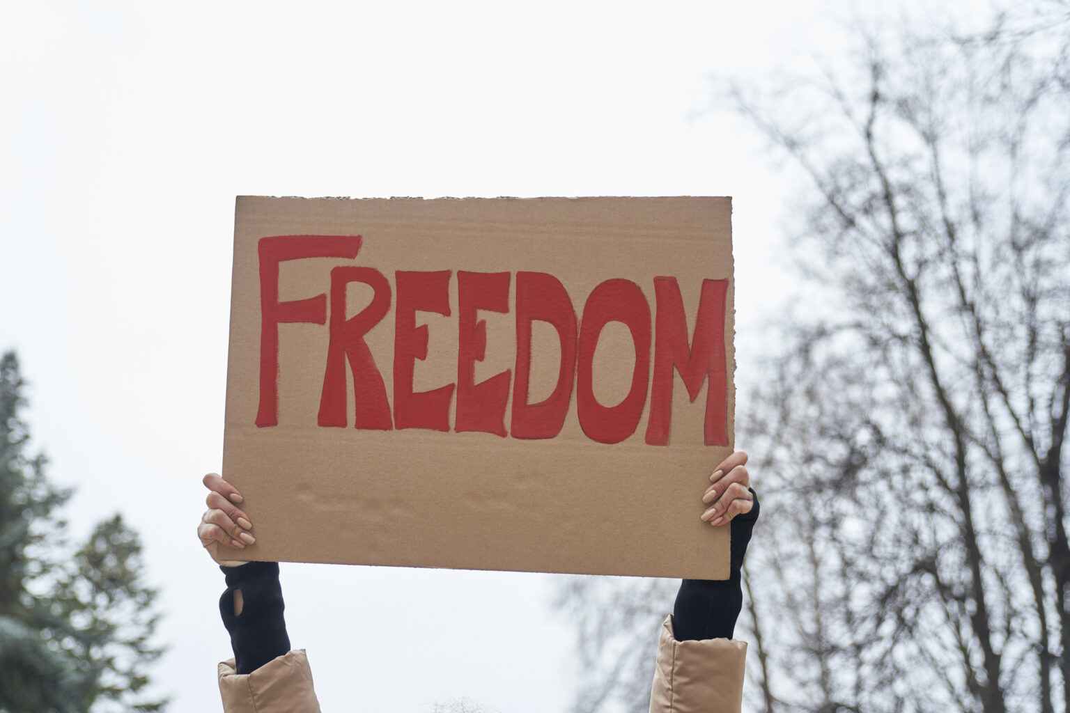 Articles Archive Frameworks Institute